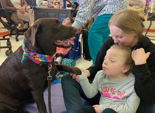Benefits of Therapy Dogs in Schools | How TheraPets.org Helps Students ...