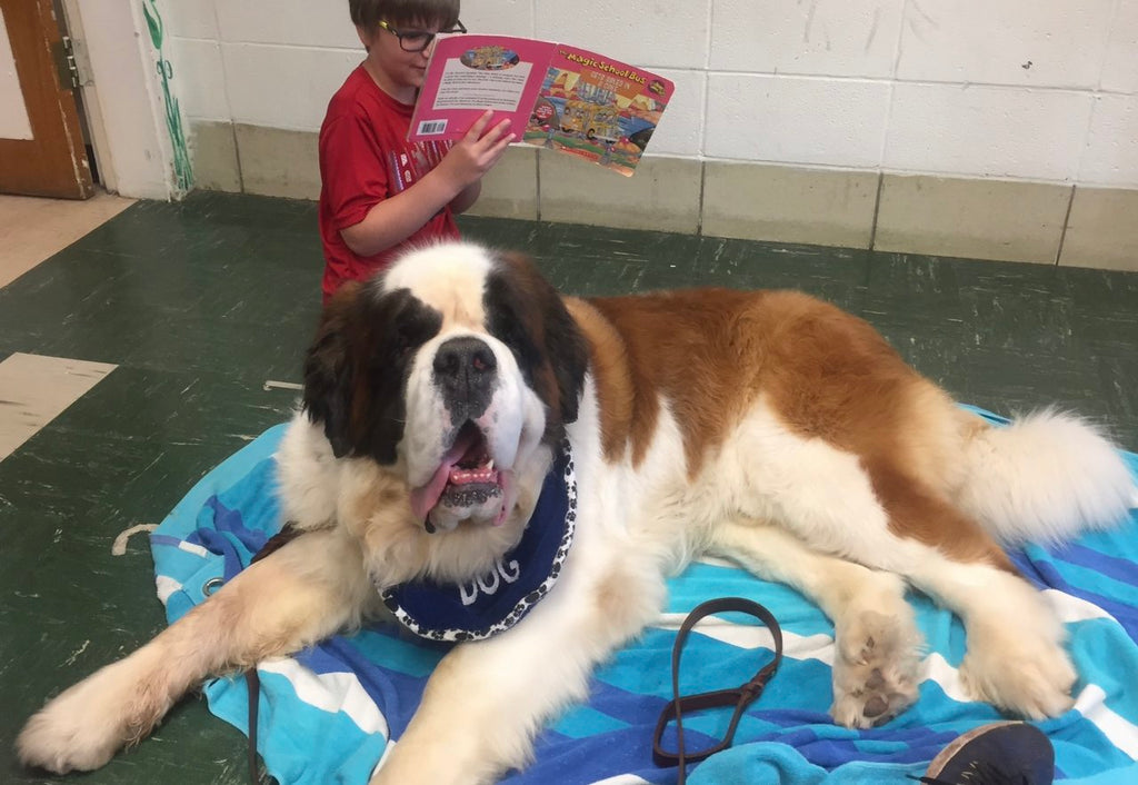 TheraPets.org - Occupational Therapy & Animal Assisted Therapy
