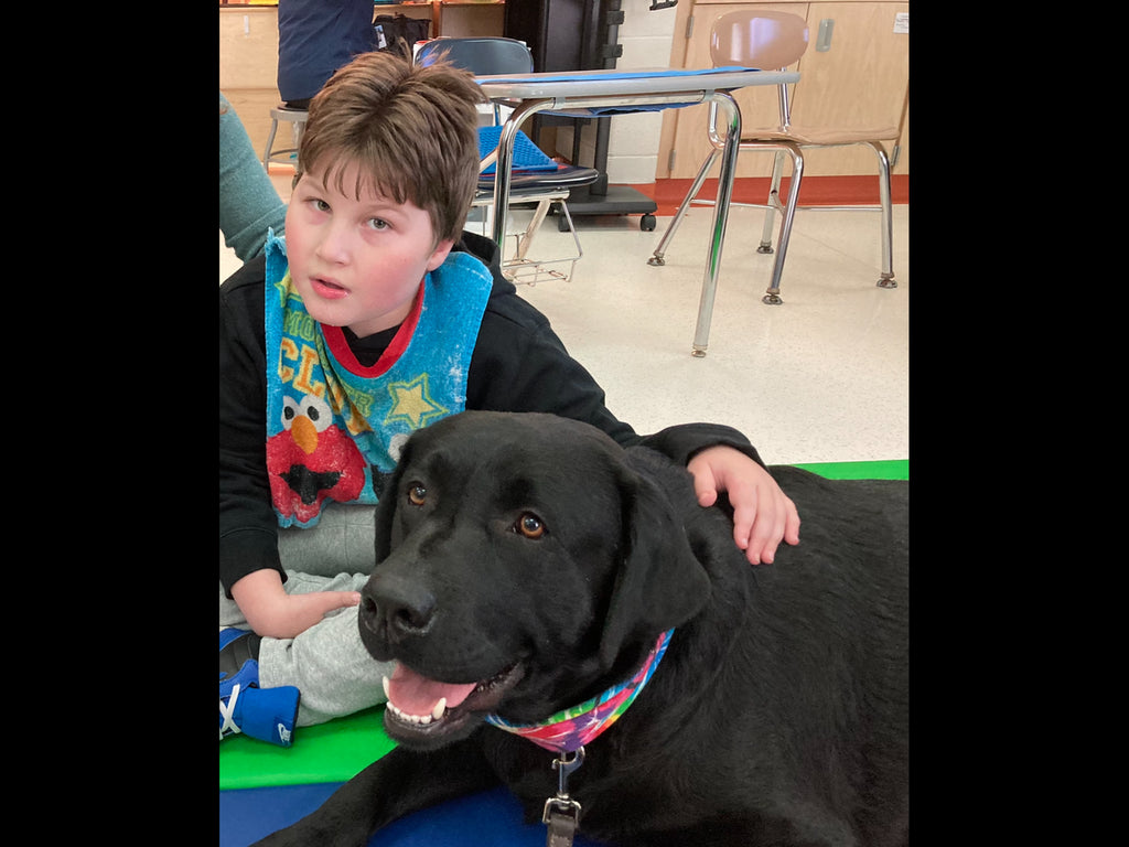 TheraPets.org - Occupational Therapy & Animal Assisted Therapy
